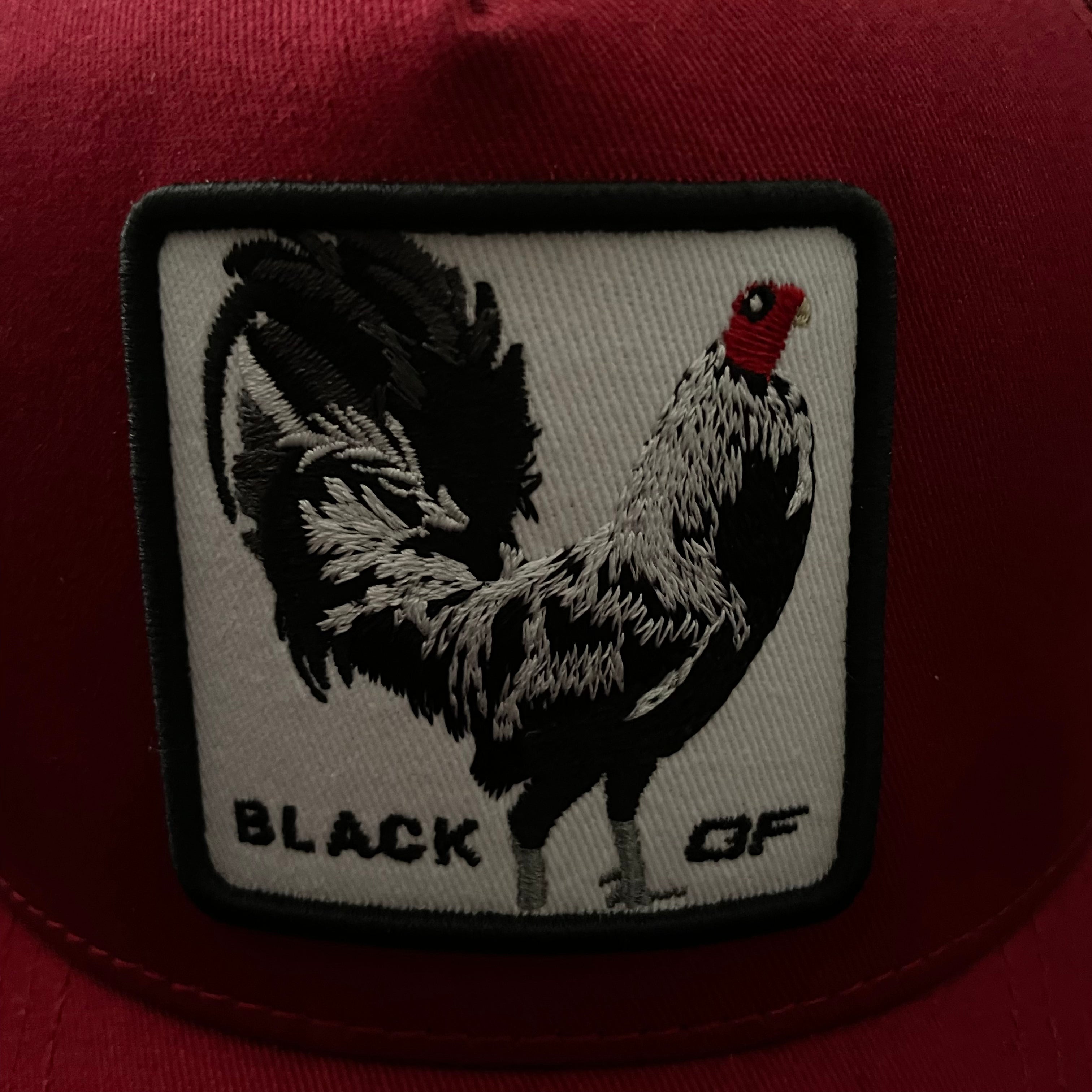 GALLO FINO HATS – BELICO IMPERIAL